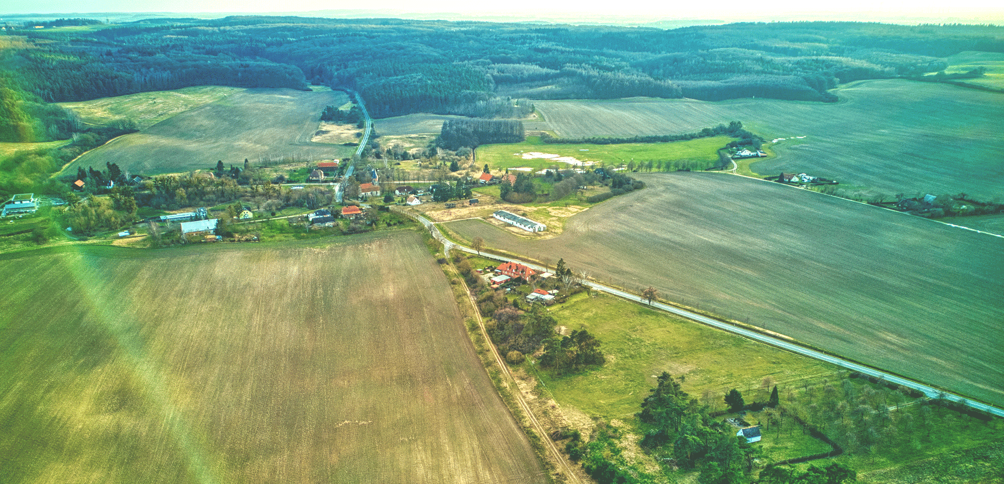 Wittenborn