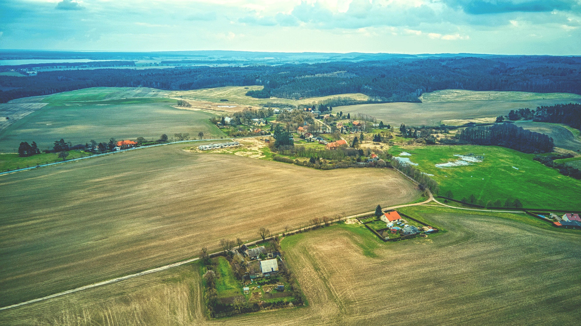 Wittenborn